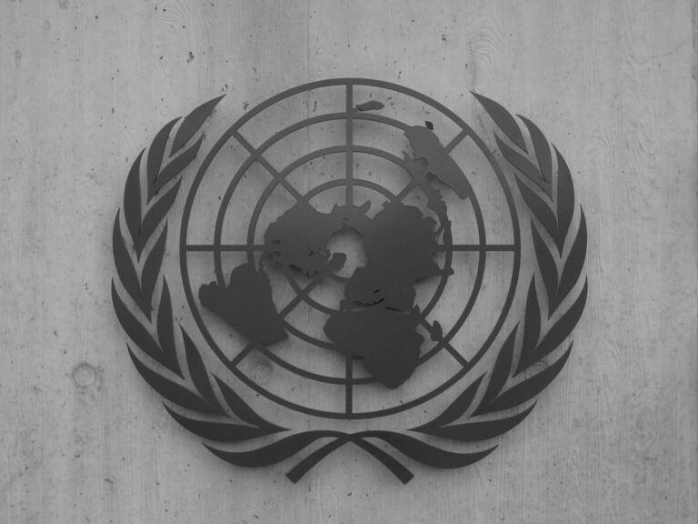 United Nations emblem | Great Lakes Now