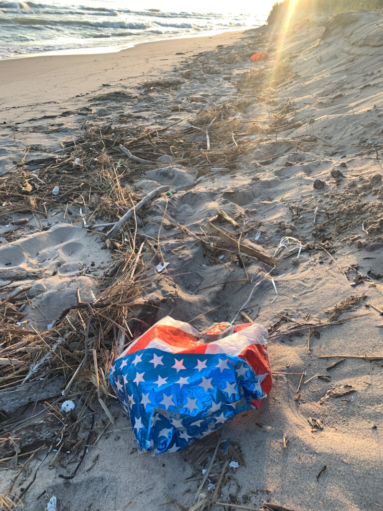 Balloon Effect: Survey highlights Great Lakes’ balloon pollution ...