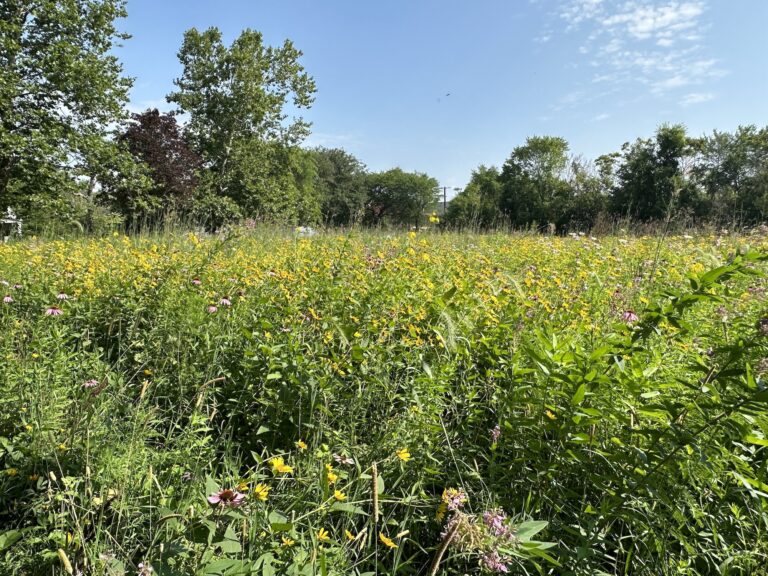 Great Lakes Moment: Five decades since the infamous Rouge River fire ...