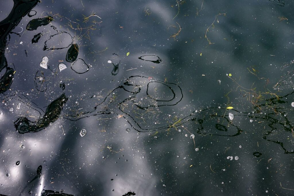 Drugs, microplastics and forever chemicals: New contaminants emerge in the Great Lakes | Great ...