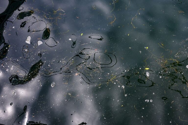 Drugs, microplastics and forever chemicals: New contaminants emerge in ...